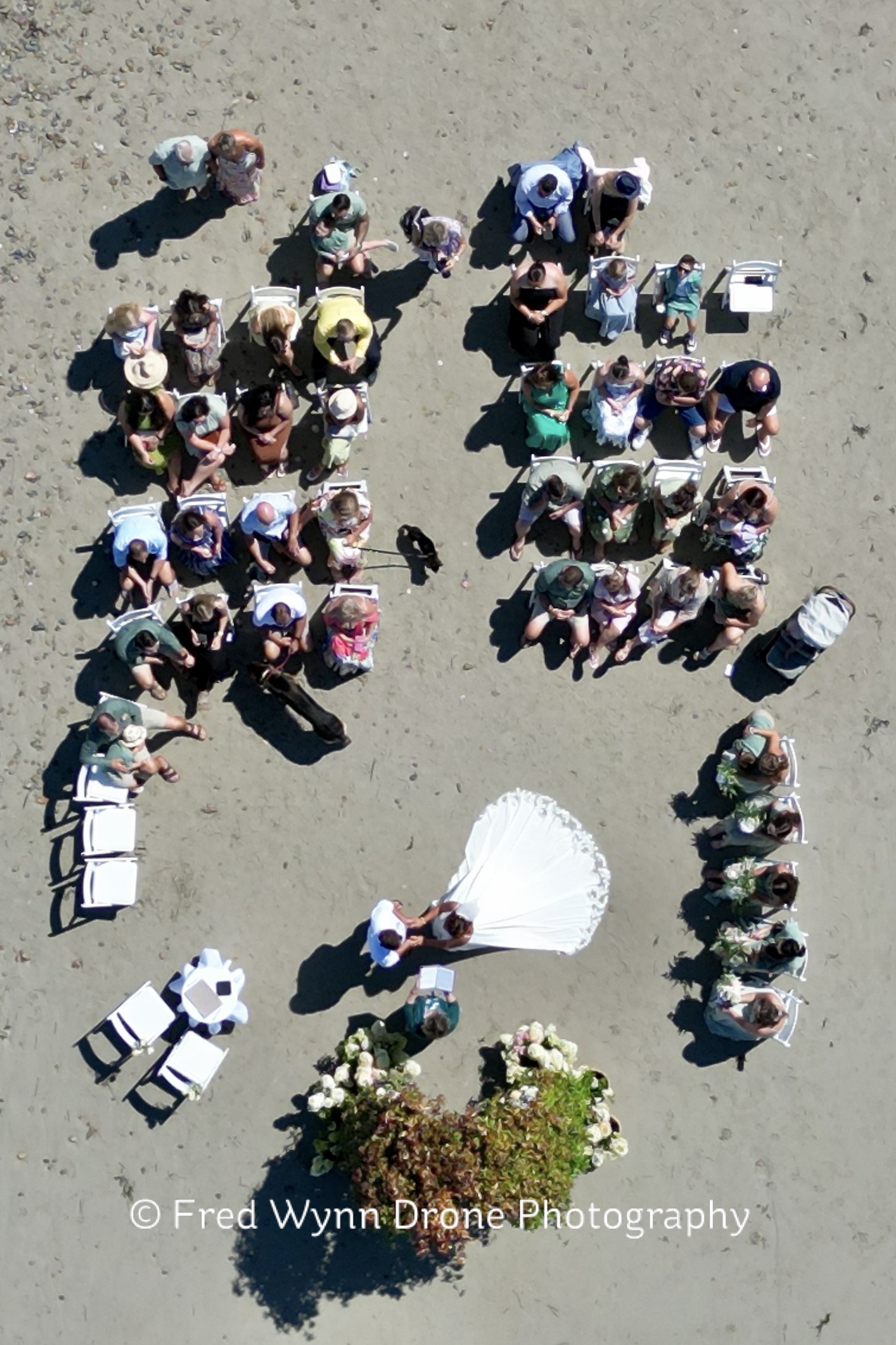 Year End Update – 2024 | Fred Wynn Photography and Drone